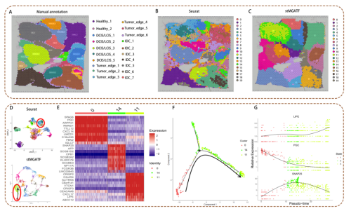 Revealing Tissue Heterogeneity and Spatial Dark Genes from Spatially Resolved Transcriptomics by ...