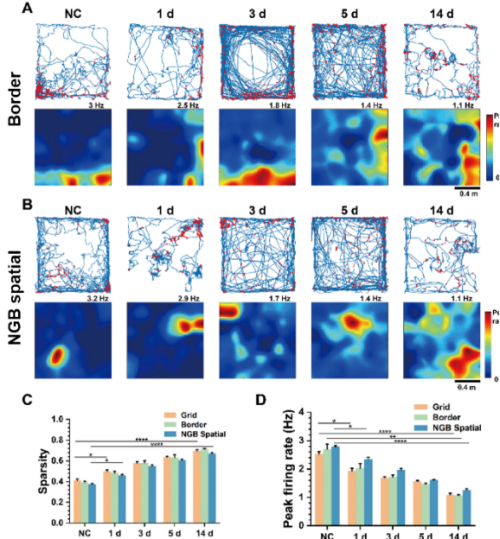 Implantable Brain-Machine Interface Detects Neuronal Damage in Spatial ...