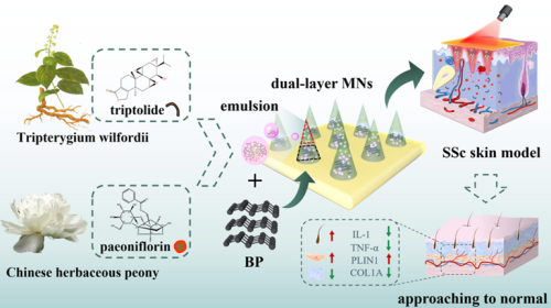Traditional Chinese Medicine Integrated Responsive Microneedles for ...