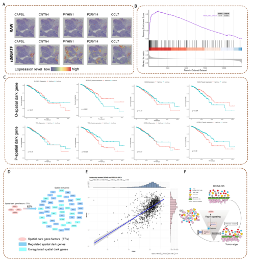 Revealing Tissue Heterogeneity and Spatial Dark Genes from Spatially ...