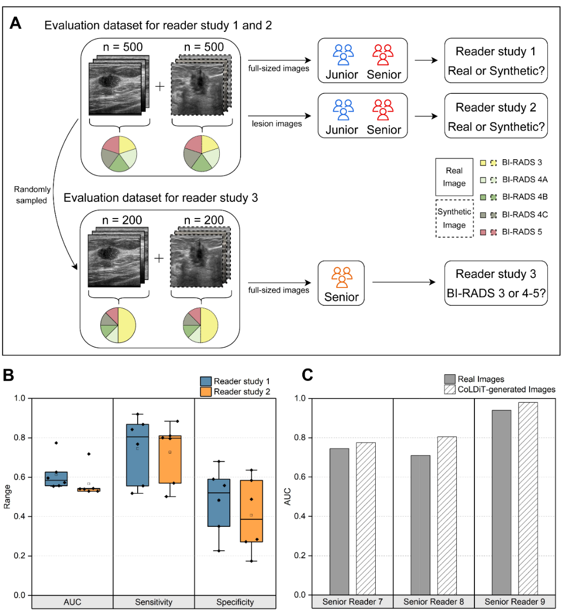 Synthetic Breast Ultrasound Images: A Study to Overcome Medical Data ...