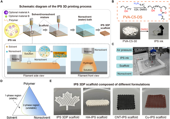 Novel 3D Printing Technique Creates Hydrogels That Mimic Natural Tissues