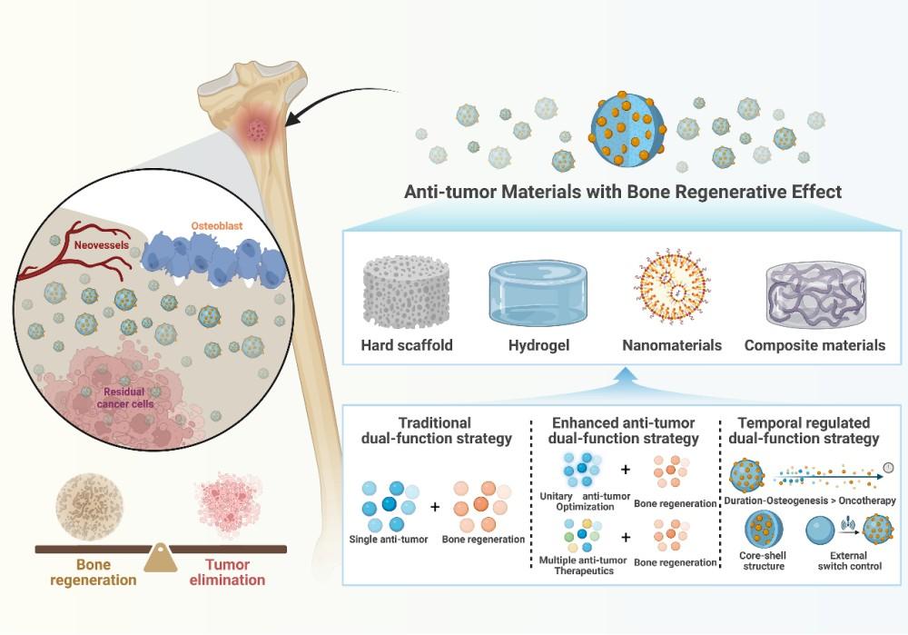 Dual-Function Biomaterials for Postoperative Osteosarcoma: Tumor ...